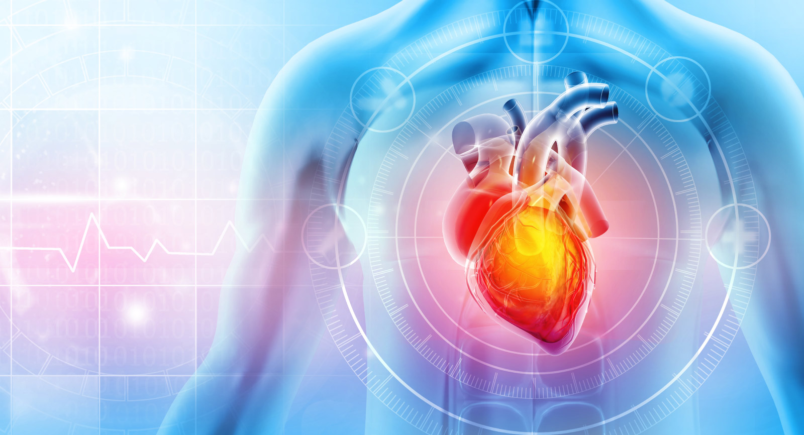 The Role of Chronic Inflammation in Cardiovascular Disease - Cooper ...